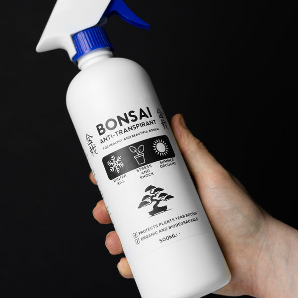 Anti-Transpirant Spray for Bonsai - 500ml Bottle – Notion Bonsai